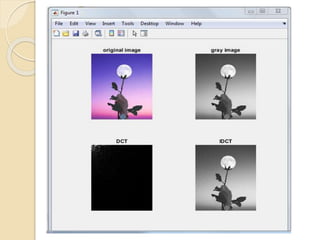 Biomedical Image Processing.ppsx