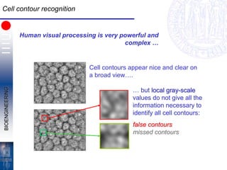 Biomedical Images.ppt