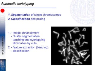 Biomedical Images.ppt