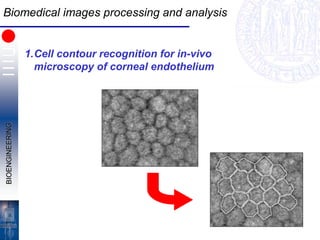 Biomedical Images.ppt