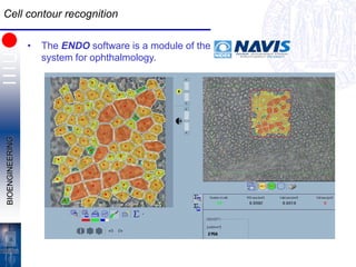 Biomedical Images.ppt