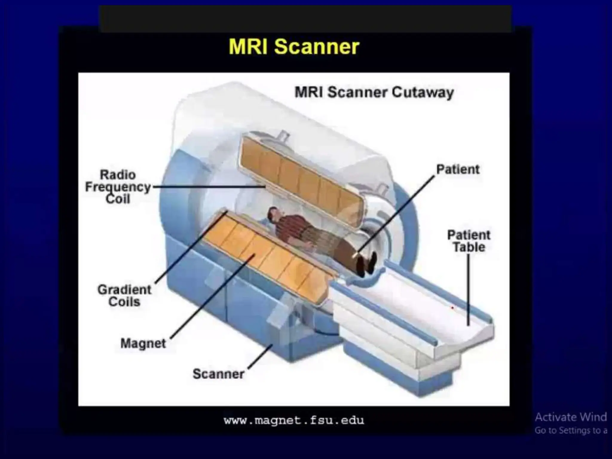 Single Positron Emission Computed Tomography (SPECT) | PPT