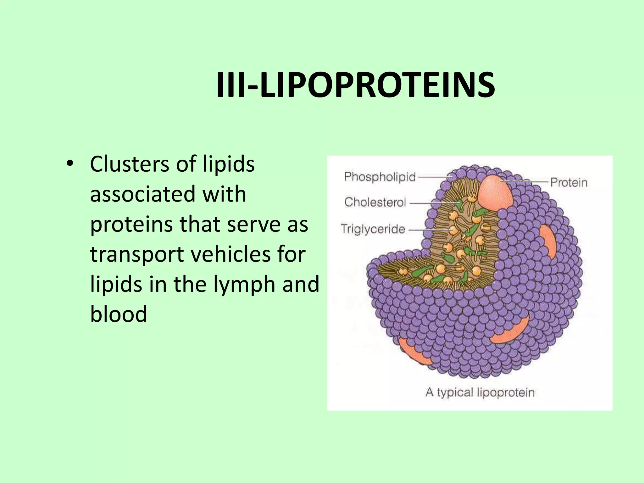 Biomedical importance of lipids lec 2014 | PPT