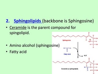 Biomedical importance of lipids lec 2014 | PPT