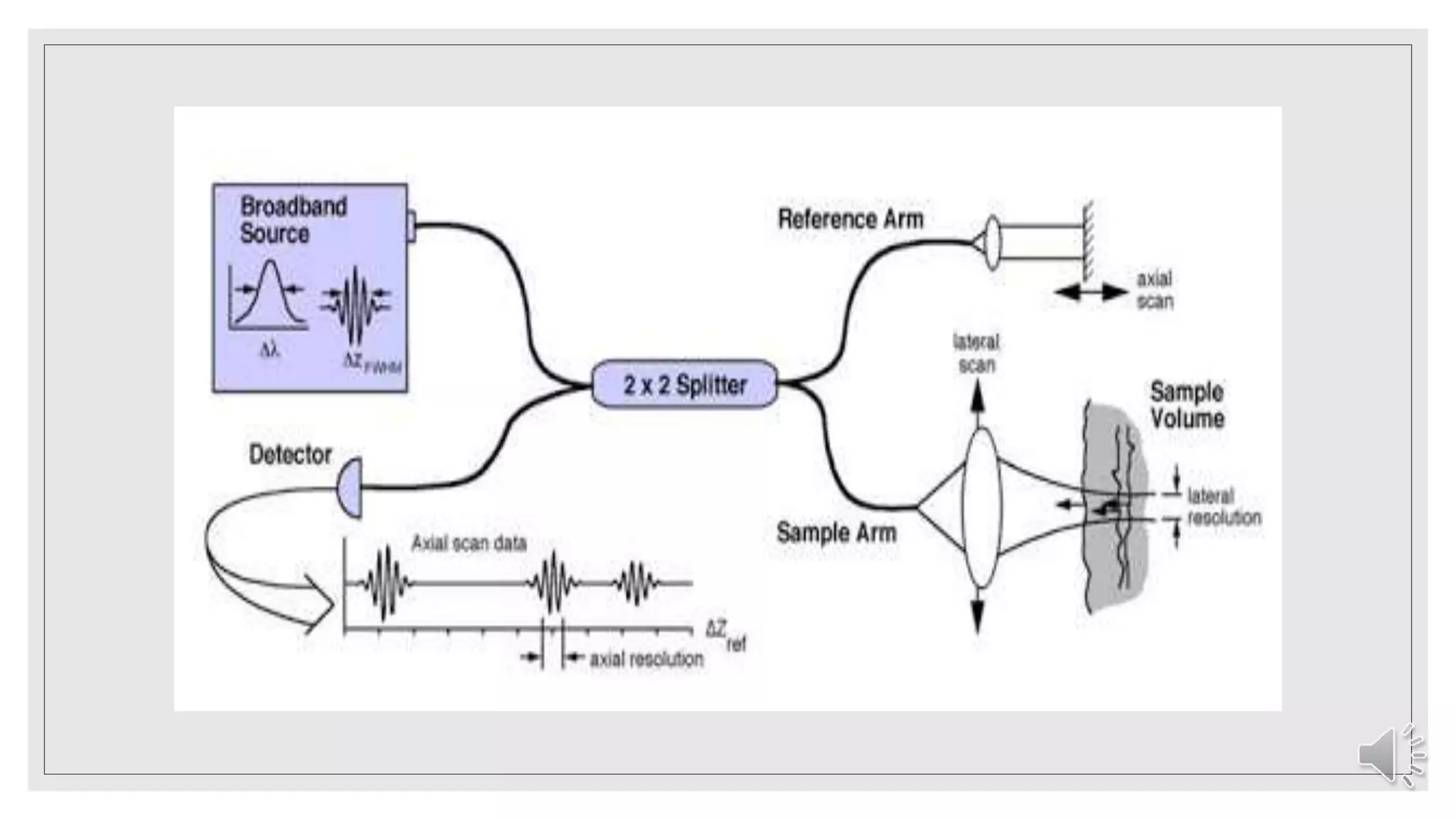 Biomedical Optical Imaging | PPTX