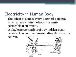 Biomedical physics (10) + (11) | PPTX