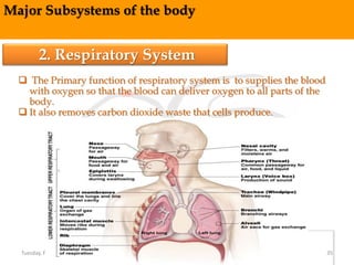 Biomedical ppt all | PPTX