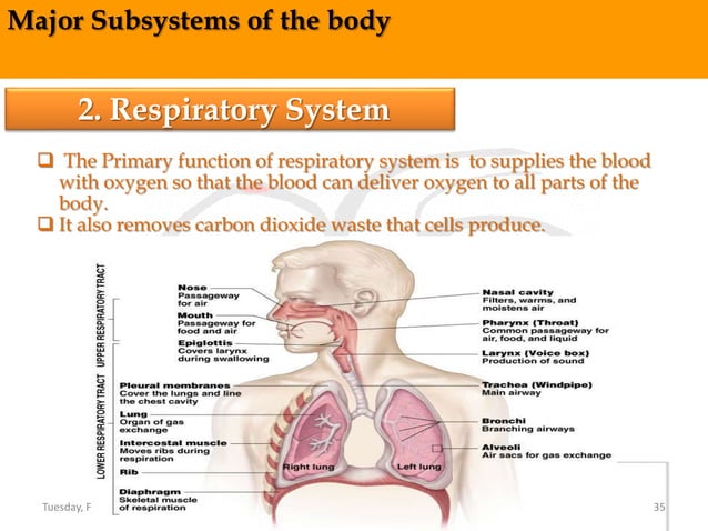 Biomedical Ppt All Ppt