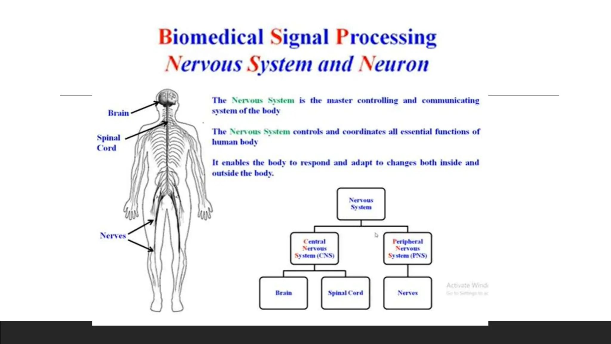 BIOMEDICAL SIGNAL processing in human body system.pptx