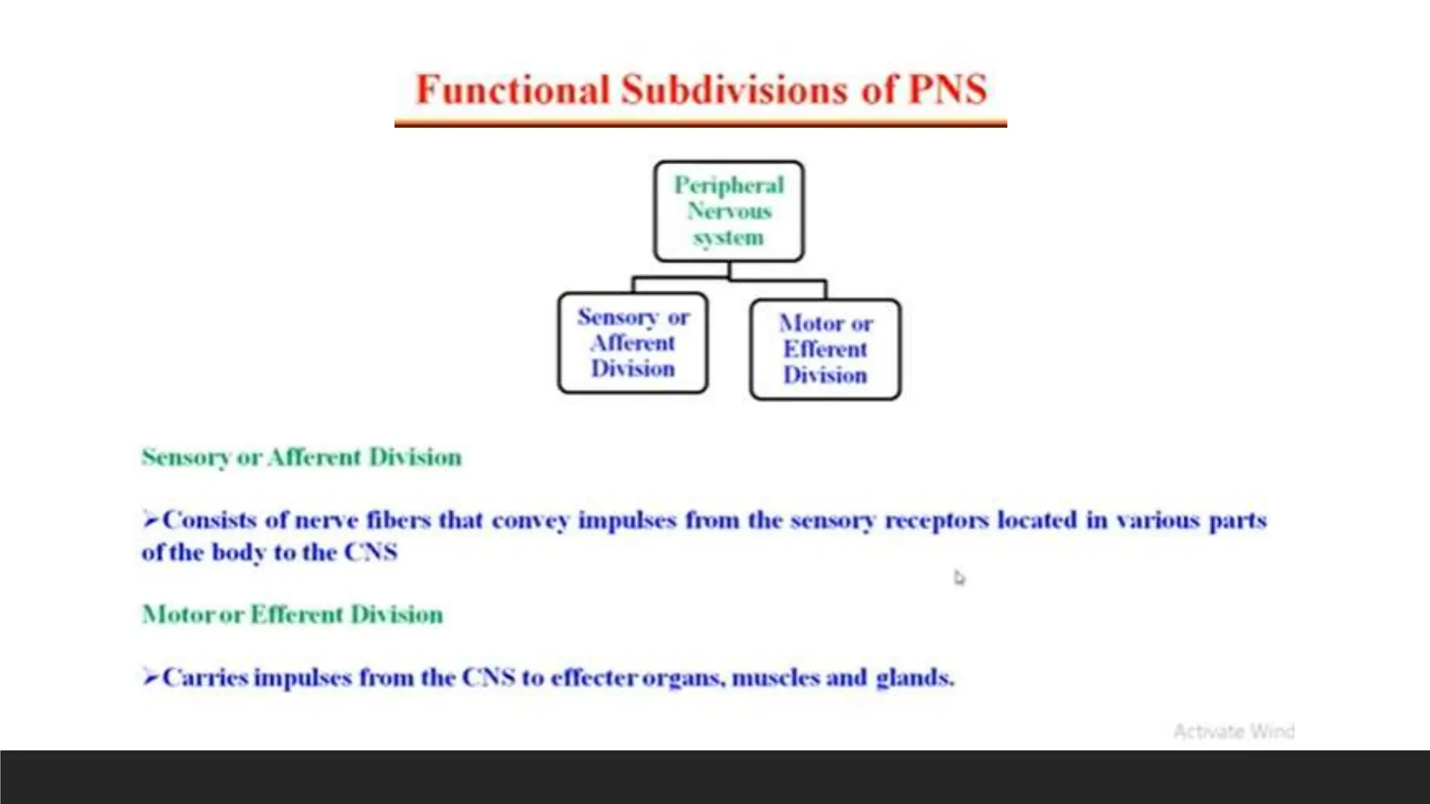 BIOMEDICAL SIGNAL processing in human body system.pptx
