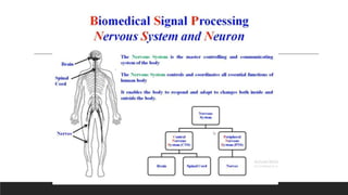 BIOMEDICAL SIGNAL processing in human body system.pptx