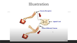 BIOMEDICAL SIGNAL processing in human body system.pptx