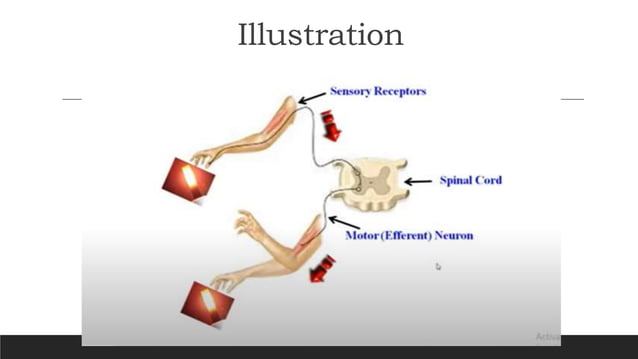 BIOMEDICAL SIGNAL processing in human body system.pptx