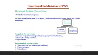 BIOMEDICAL SIGNAL processing in human body system.pptx