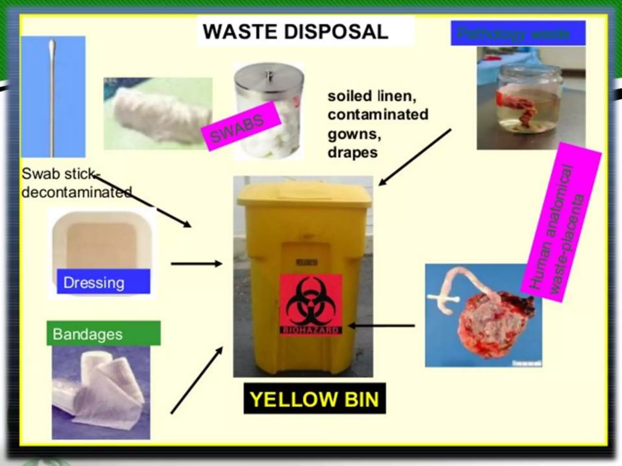 Biomedical waste and its management | PPTX