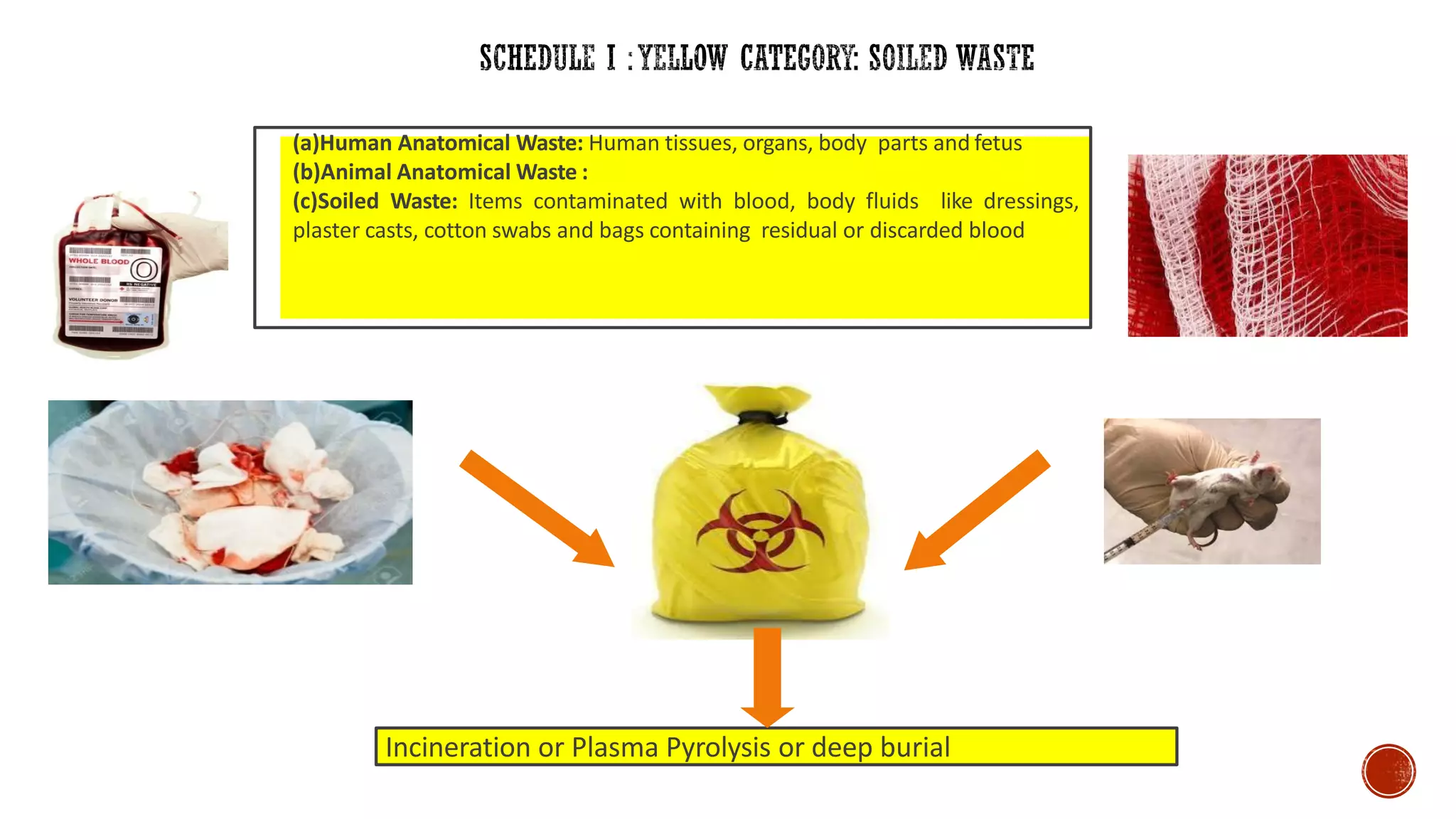 biomedical waste.pdf