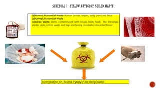 Bio Medical Waste is important standard solution | PPT