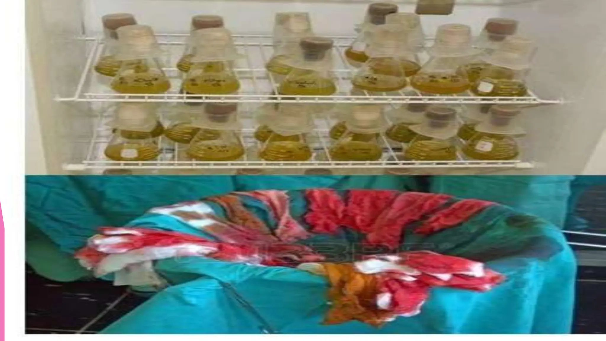 BIO MEDICAL WASTE MANAGEMENT for bsc students.pptx