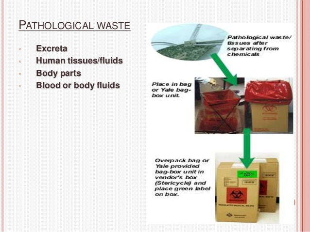 Bio medical waste management (2)