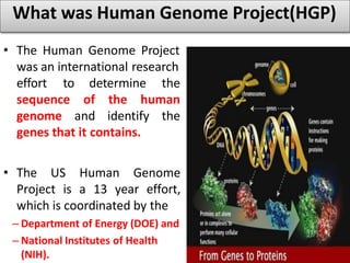 Human genome project | PPTX