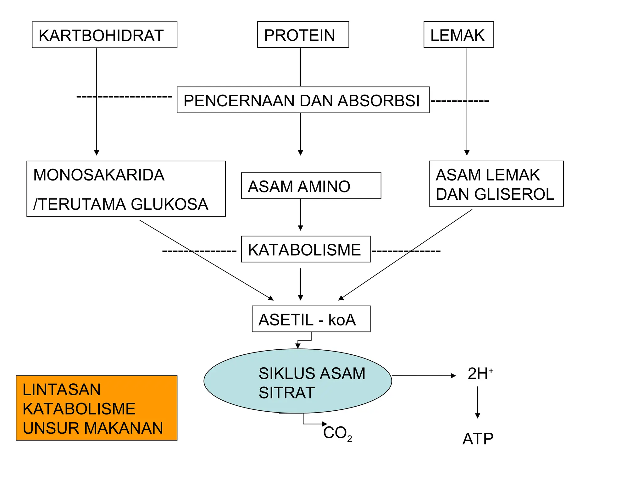 Biomedik-Dasar-Pertemuaaaaaaaaaaan-8.ppt