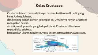 biomedik 2.pptx
