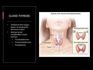 Biomedik Sistem endokrin untuk kesehatan masyarakat.pptx