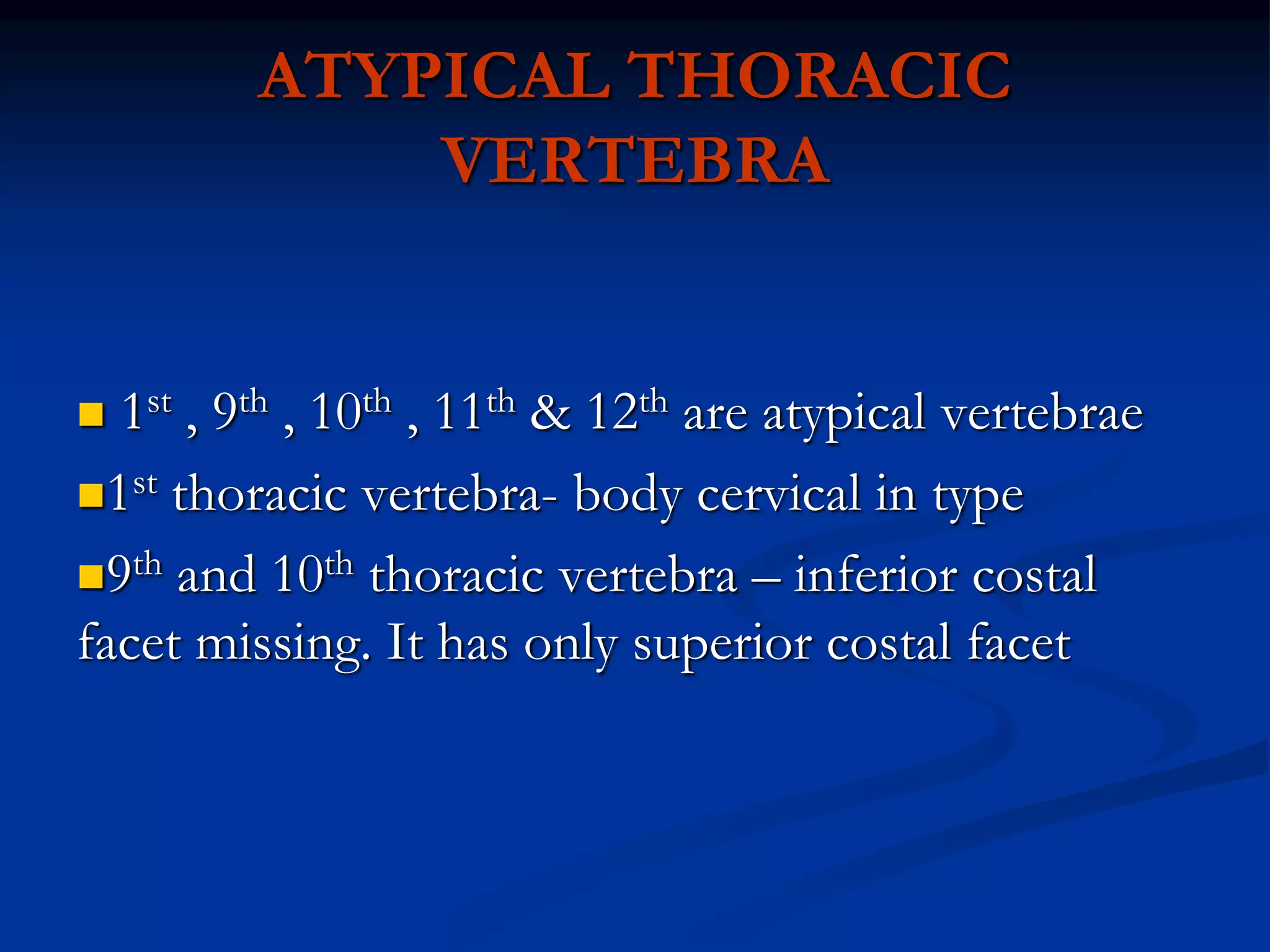 Biomehanics of thoracic spine.ppt