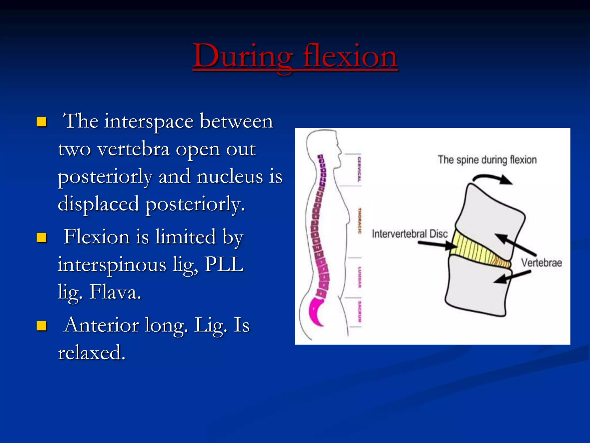 Biomehanics of thoracic spine.ppt