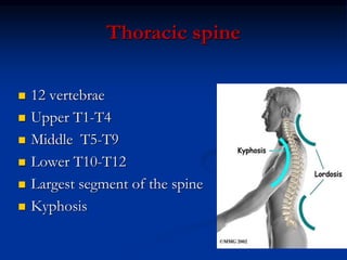 Biomehanics of thoracic spine.ppt