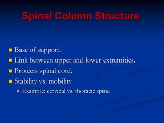 Biomehanics of thoracic spine.ppt
