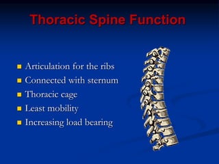 Biomehanics of thoracic spine.ppt