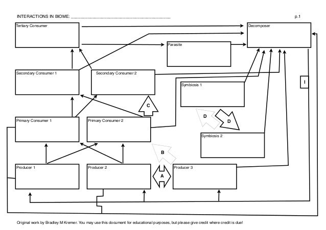 Blank Ecological Diagram
