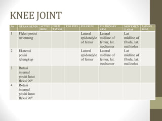 power-point-Materi-Biomekanik-Pertemuan-kedua.ppt