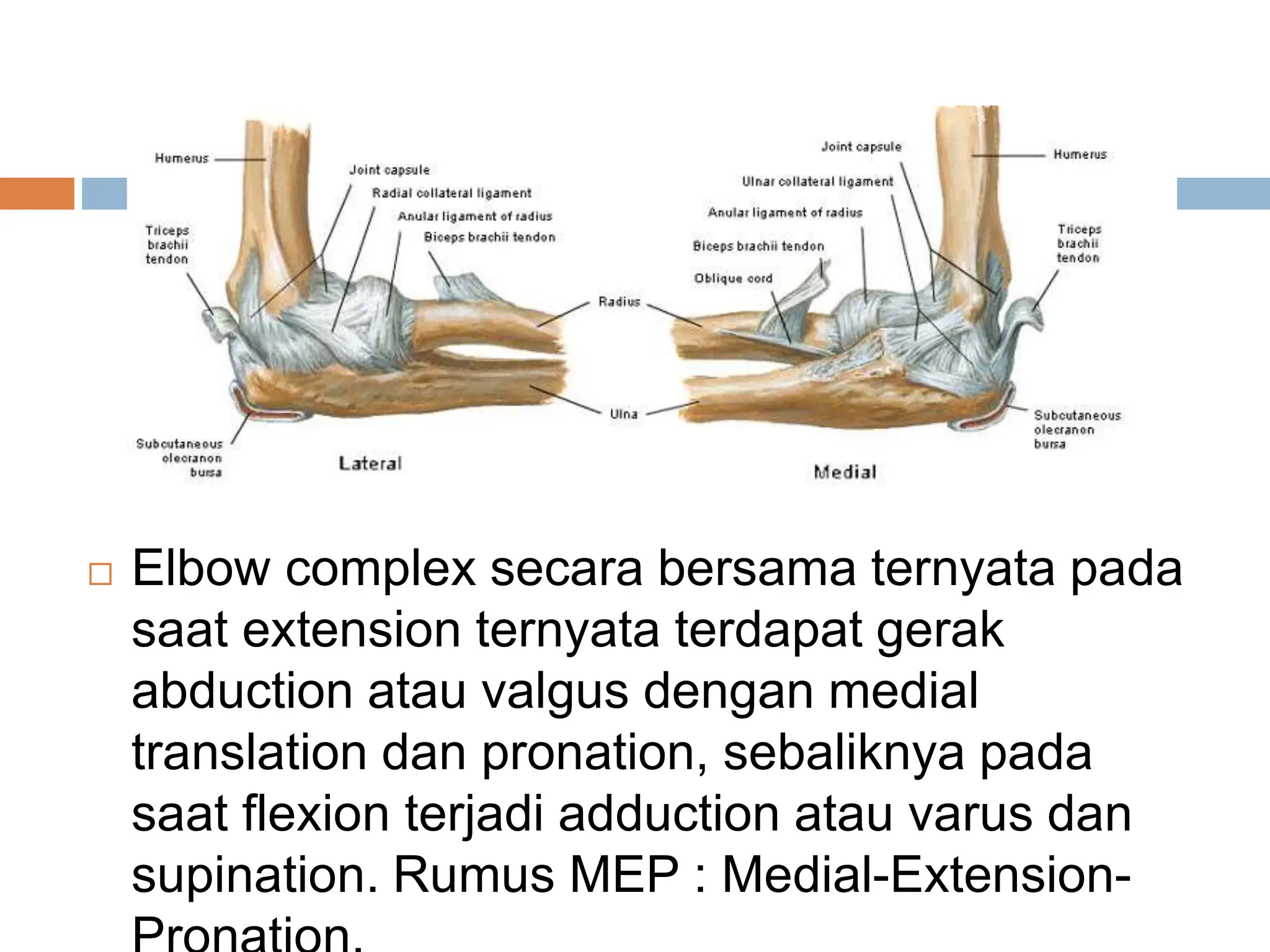 PPT biomekanik siku (elbow complex) kinesiollogi.ppt