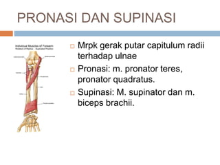 PPT biomekanik siku (elbow complex) kinesiollogi.ppt