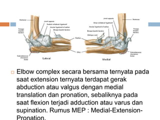 PPT biomekanik siku (elbow complex) kinesiollogi.ppt