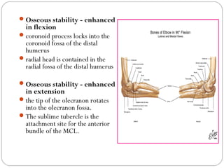 Biomekanik cubiti mjd | PPT