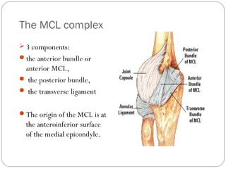 Biomekanik cubiti mjd | PPT