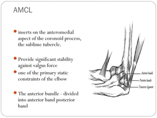 Biomekanik cubiti mjd | PPT