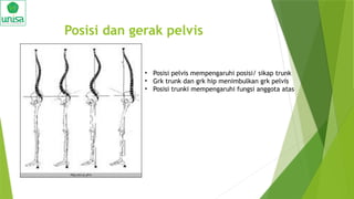 Biomekanik dan Kinesiologi Vertebra.pptx