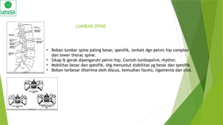 Biomekanik dan Kinesiologi Vertebra.pptx