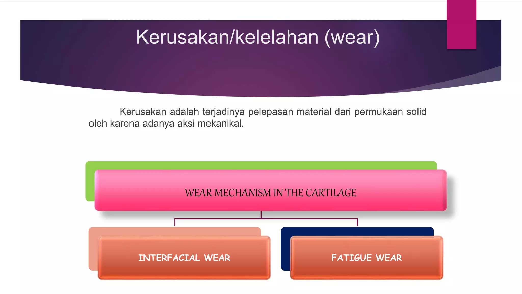 Biomekanik Jaringan dan Struktur Sistem Muskuloskeletal.pptx