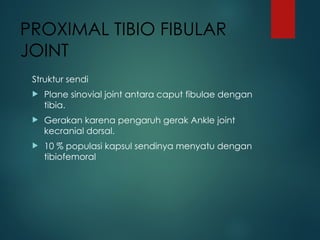 biomekanik knee joint and ankle concern issues of movement.ppt