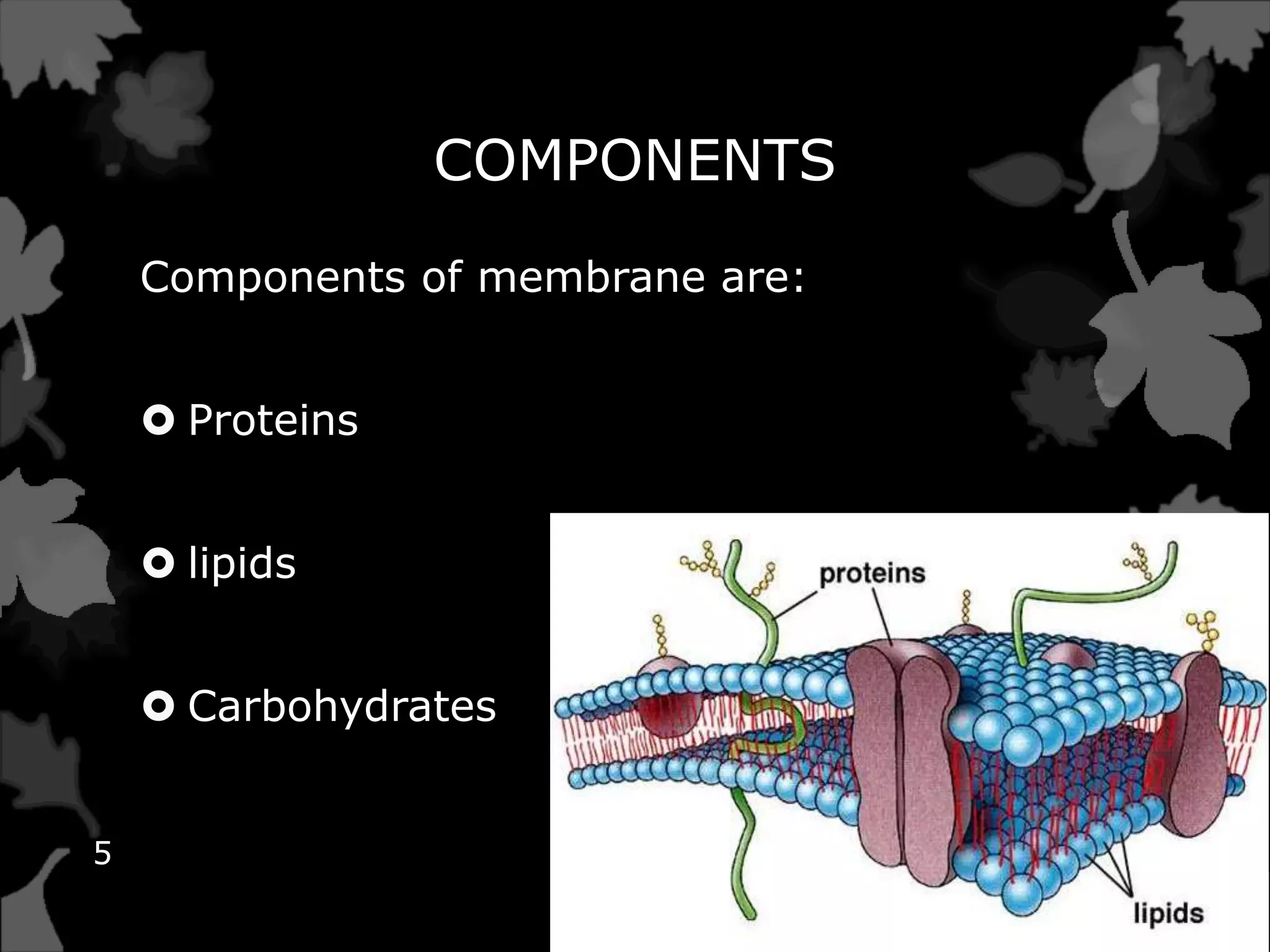 Biomembranes | PPTX
