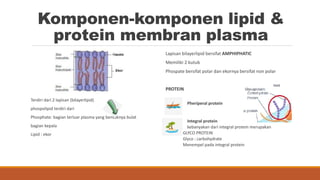 bio membran 1 alivia.pptx