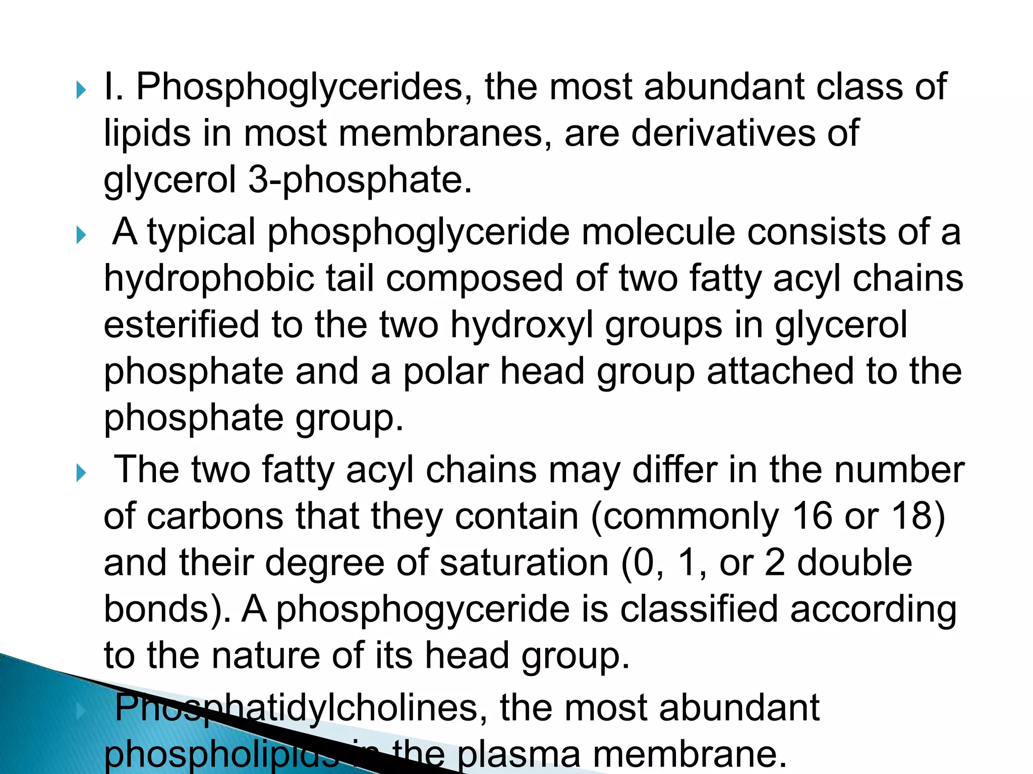 Biomembrane basic | PPTX