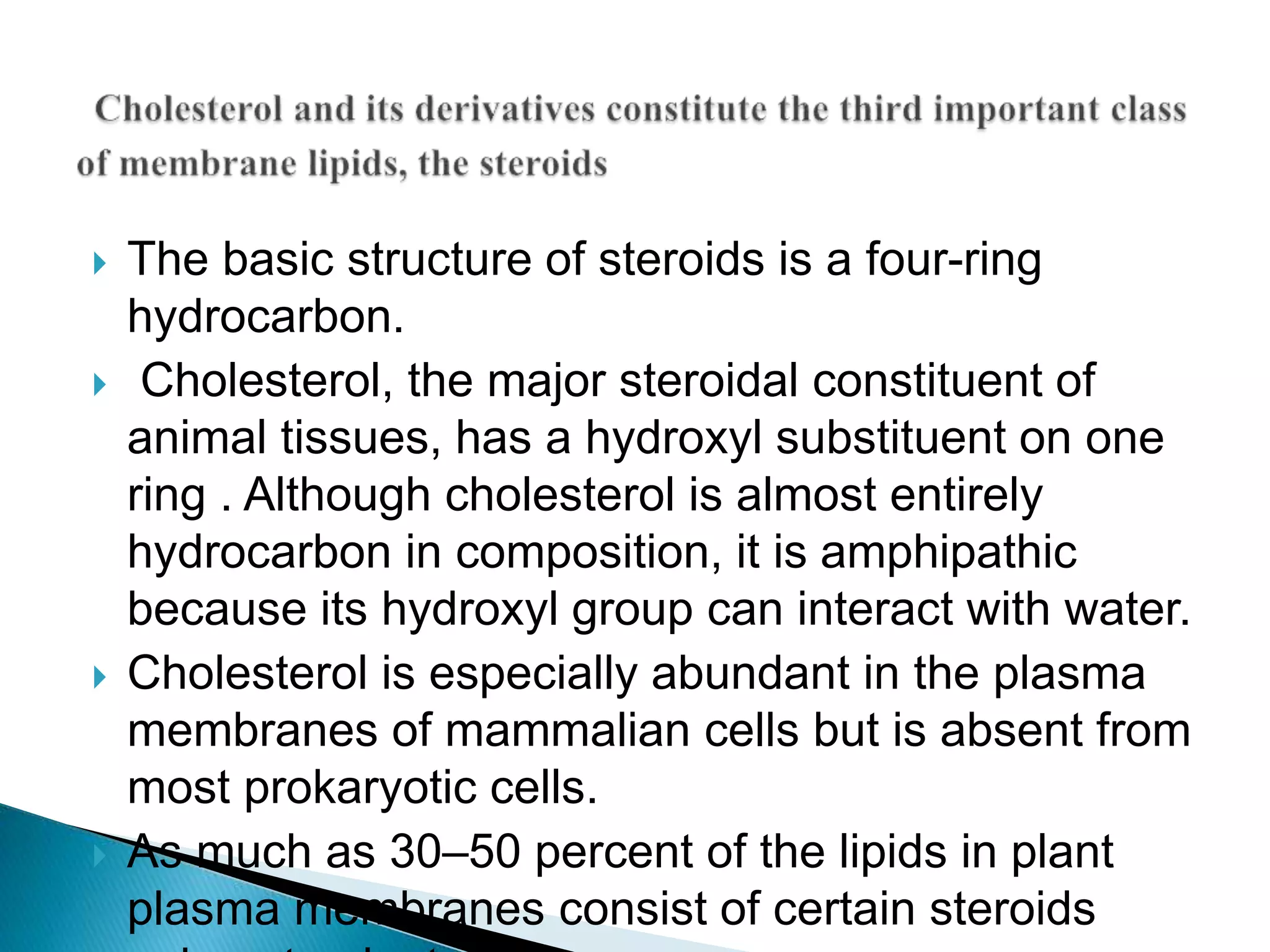 Biomembrane basic | PPT