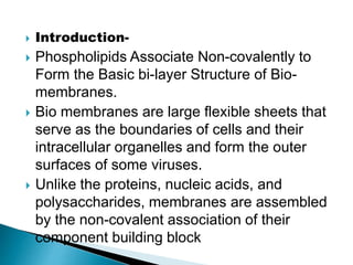 Biomembrane basic | PPTX