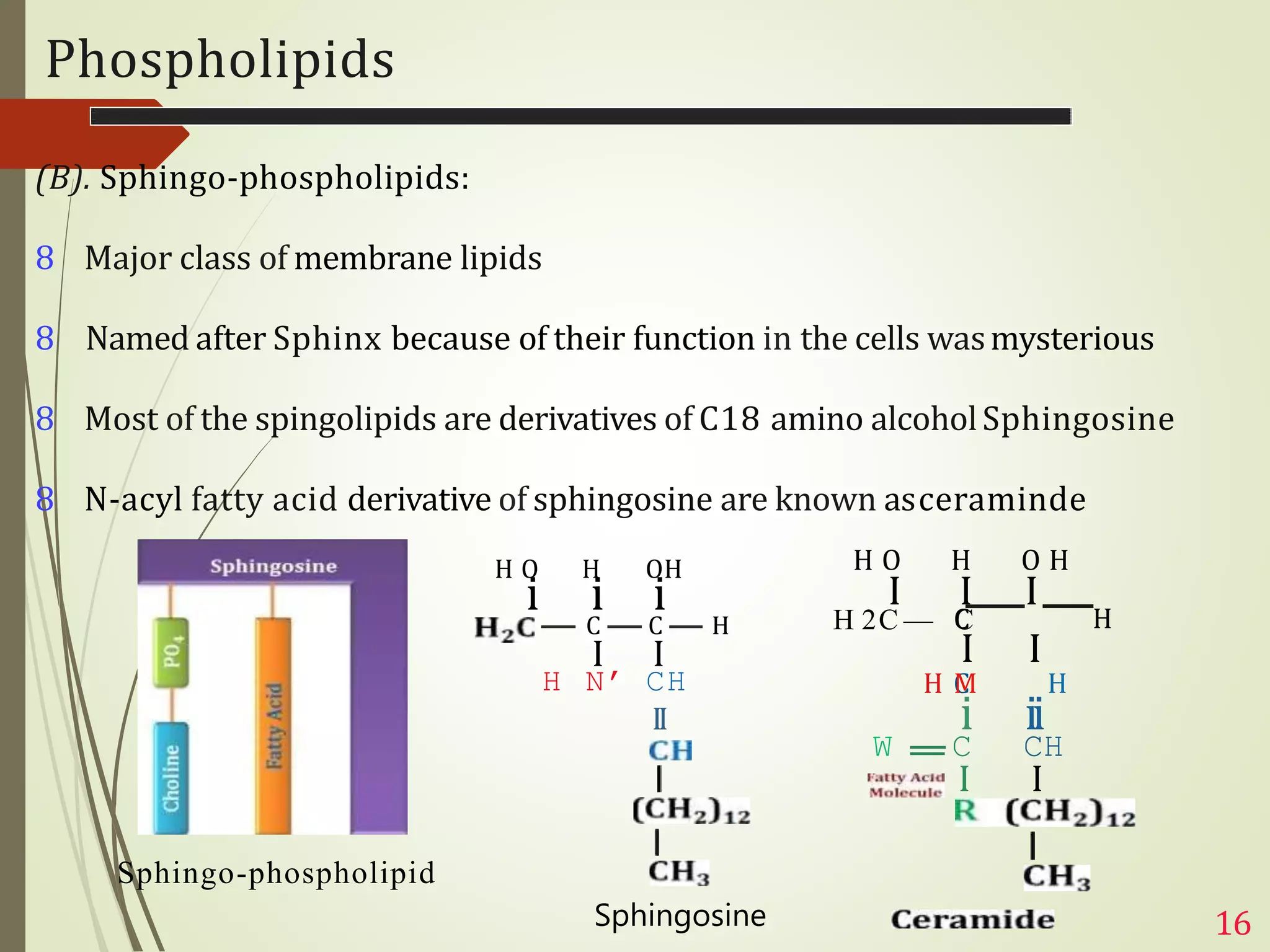 membrane lipids & its types | PPTX
